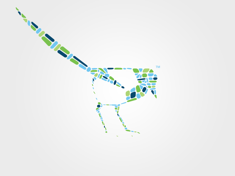 Magpie™ / Сорока™ by Artur Abt on Dribbble