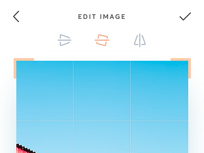 Clean Photo Editor by Daniel Klopper on Dribbble