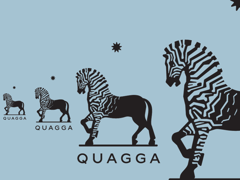 Quagga by Amit Botre - Spin Design on Dribbble