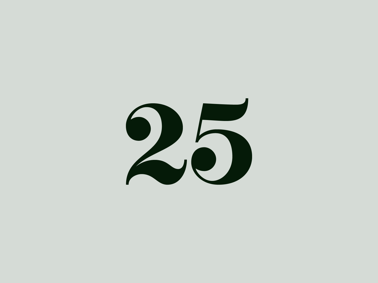 25 by Vedad Siljak on Dribbble