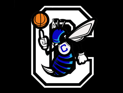 Hornets Basketball 🏀 by Julian Gladness on Dribbble