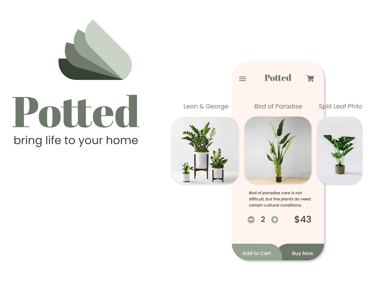 Potted by Marissa on Dribbble