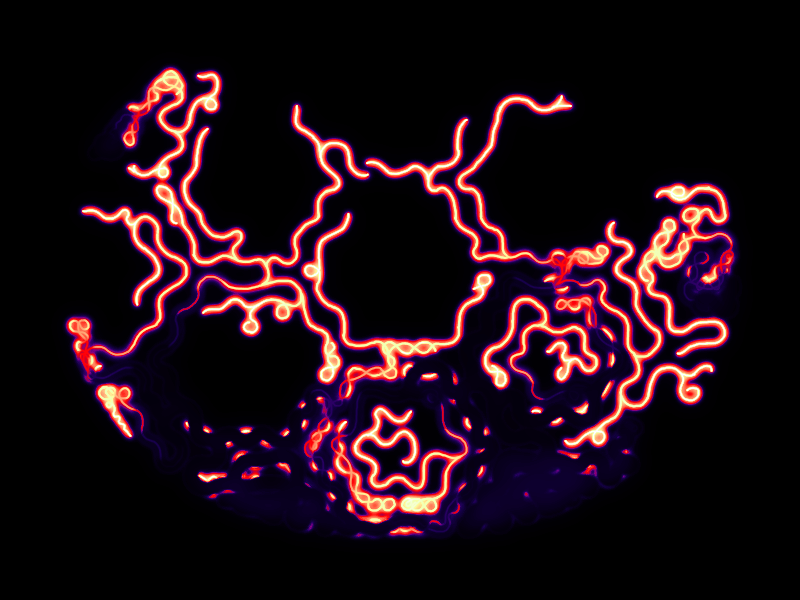 Next animated map in progress test by Oleksandr Sanchencko on Dribbble