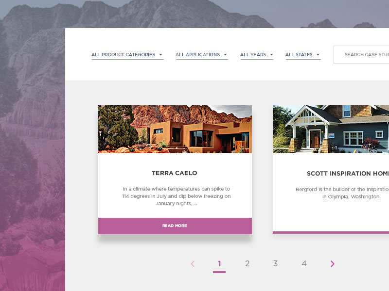 Exploring Case Studies by Aimee Berry on Dribbble