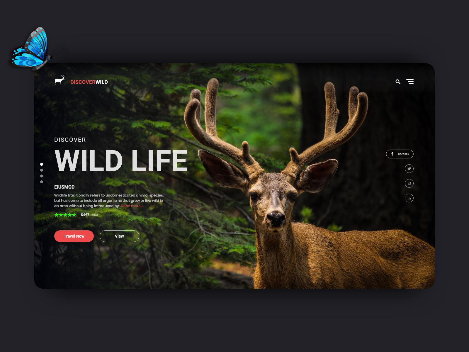 Wild life - Header exploration by Sagor Swapon 🔥 on Dribbble