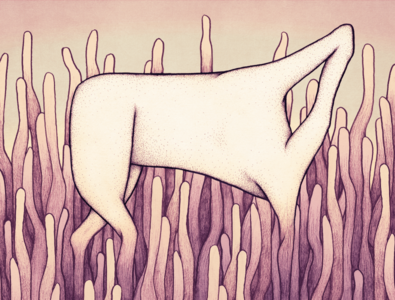 Lope by Hannah Cunningham on Dribbble