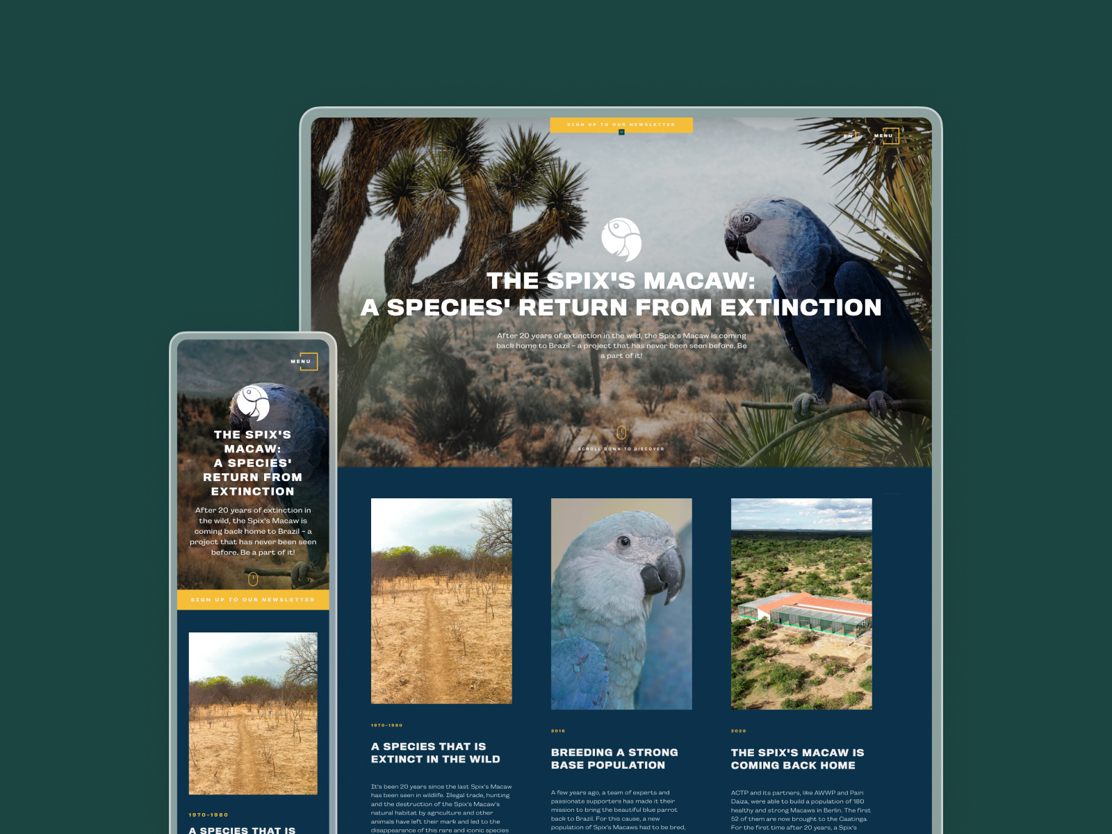 ACT Parrots: Landingspage Design by &why on Dribbble