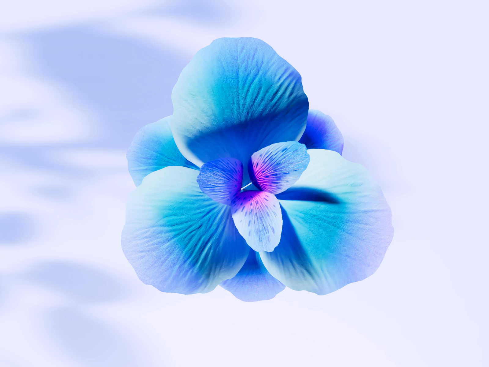 Blue Flower 3d visualization / Houdini by Cuberto on Dribbble