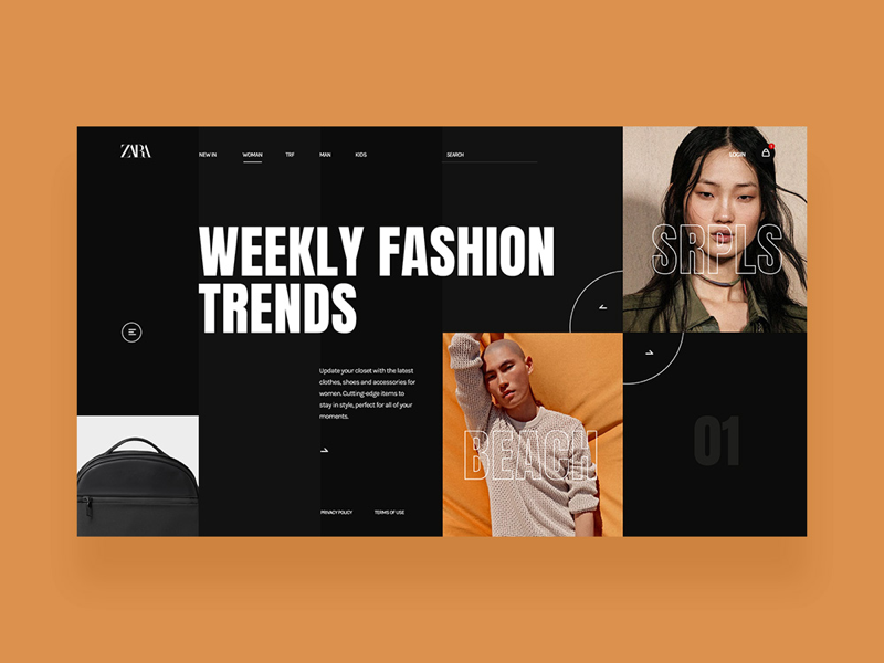 Zara by Amin Salehi on Dribbble