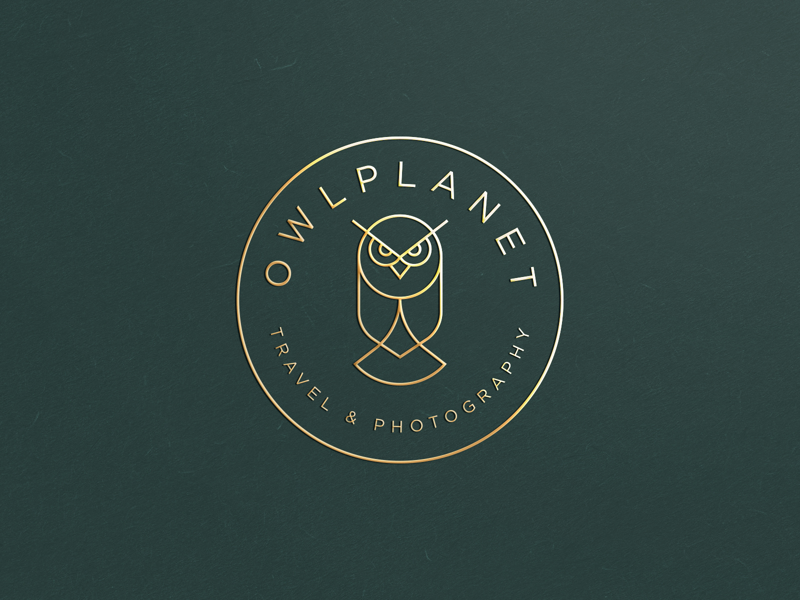 Owl planet by Ahmed on Dribbble