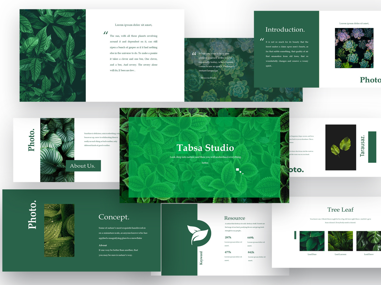 Nature: Powerpoint Presentation by Tabsa Studio on Dribbble