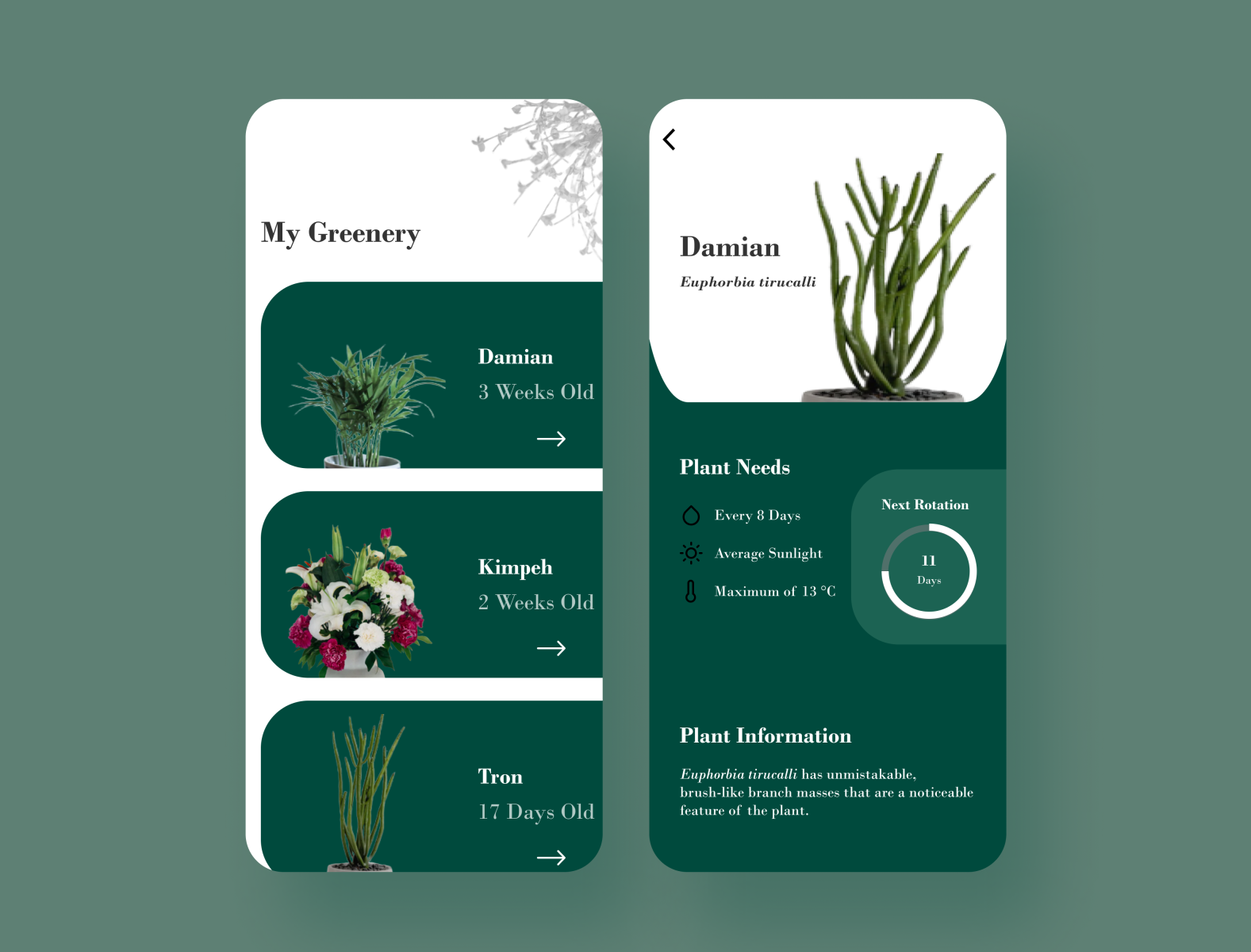 My Greenery App by Ibukun Tunde on Dribbble