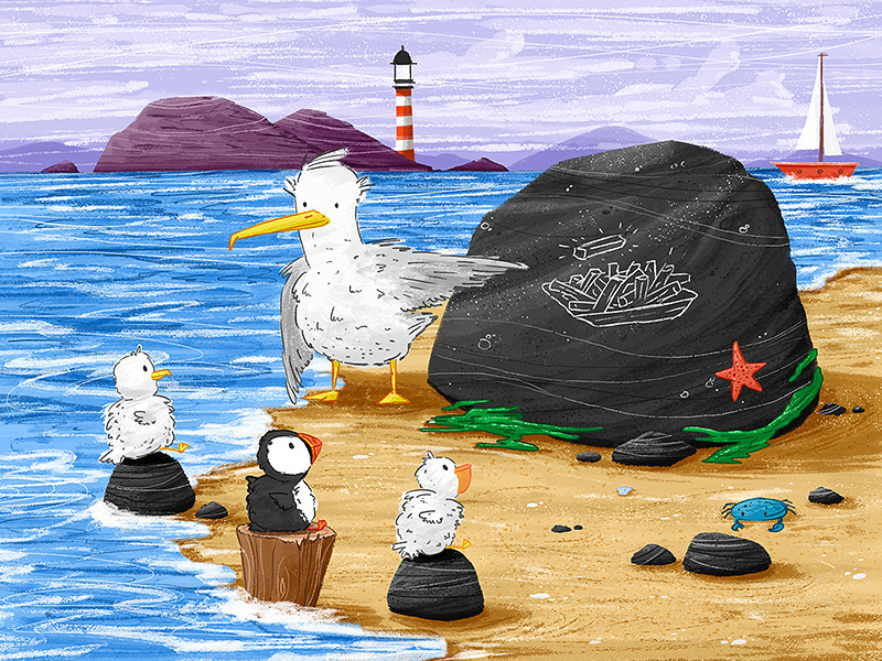 Seagull School by Paddy Donnelly on Dribbble