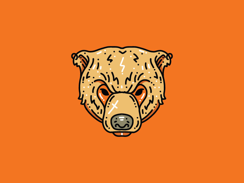 Bear by Mbelgedhes on Dribbble