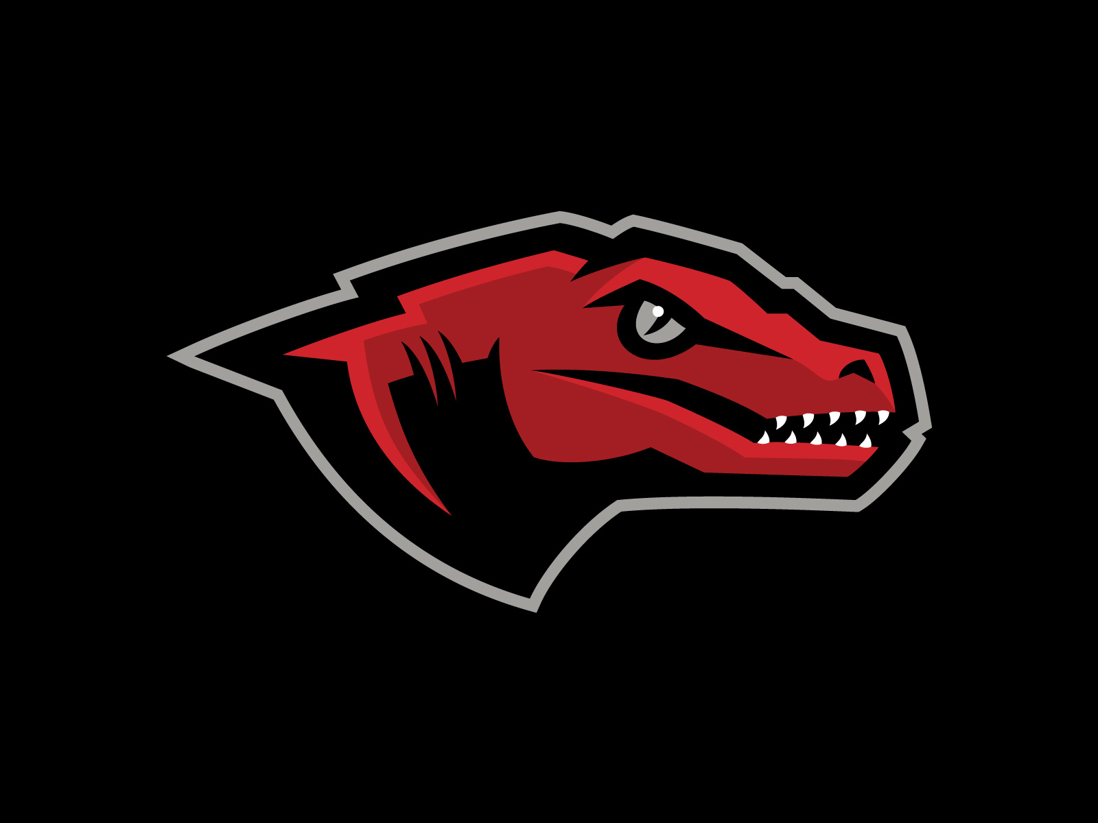 RLCA Raptors by Matthew Doyle on Dribbble