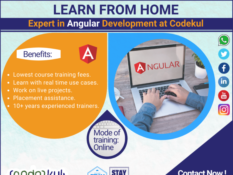 Angularjs Classes In Pune By Sameer Kadam On Dribbble