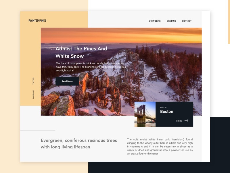 Pine Trees by ISH∆N on Dribbble