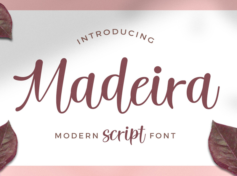 Madeira Script by Dora Typefoundry on Dribbble