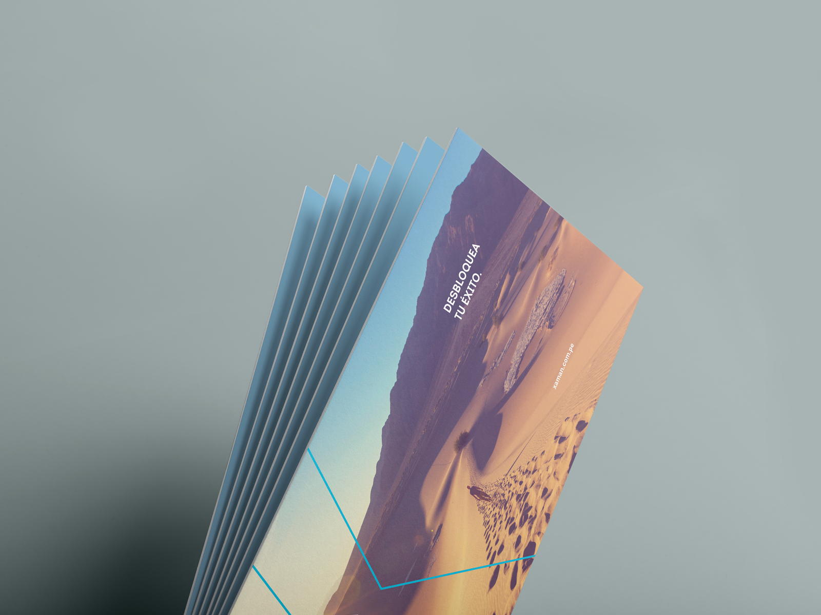 XAMAN by Angel Alejandro on Dribbble