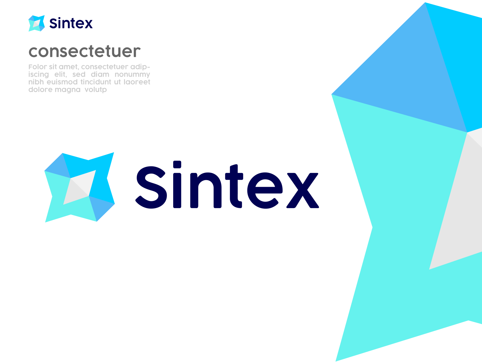Sintex Brand Identity Logo Design by Abu Hena Rasel on Dribbble