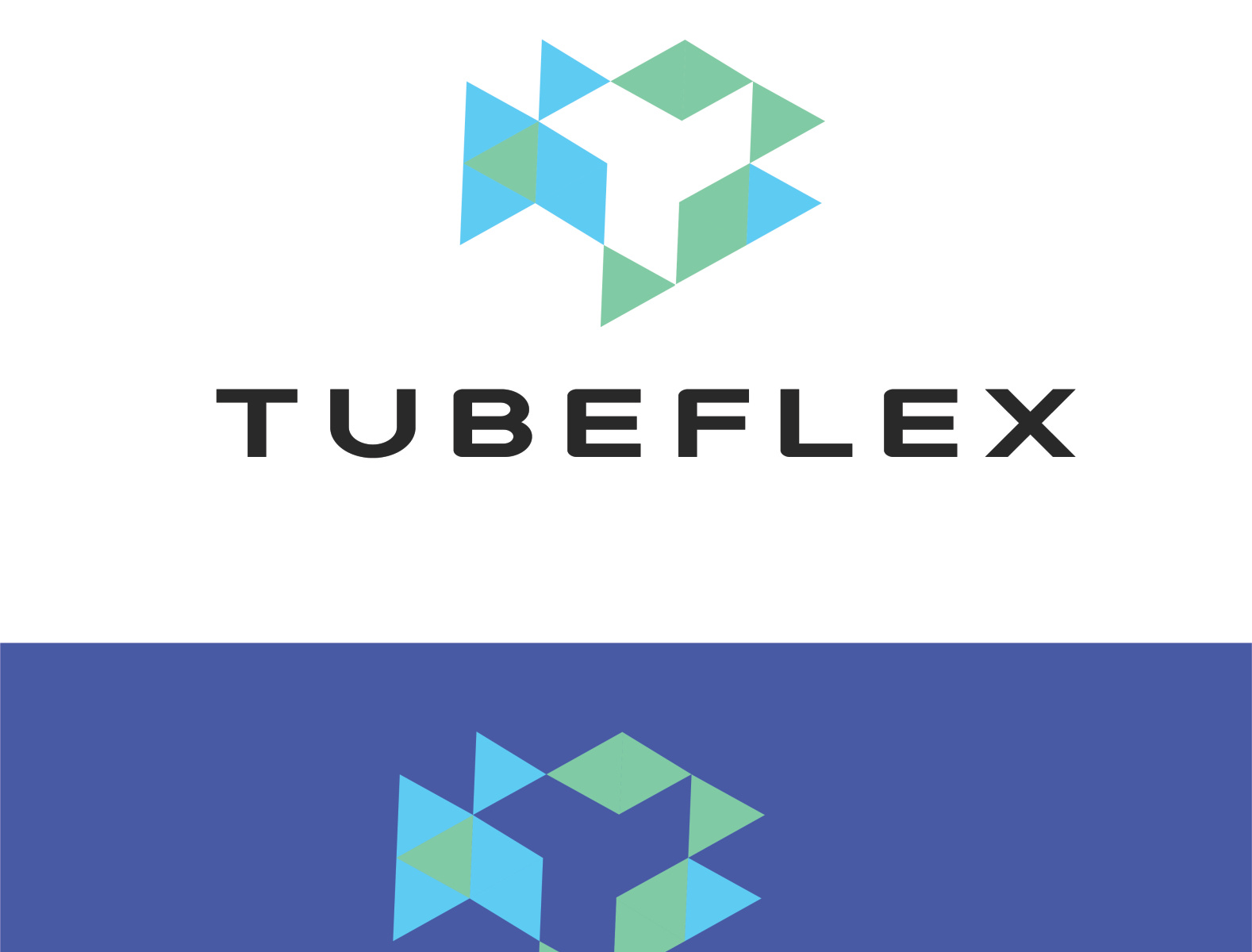 Fish icon, fish logo, tubeflex by Md Azizul Islam on Dribbble