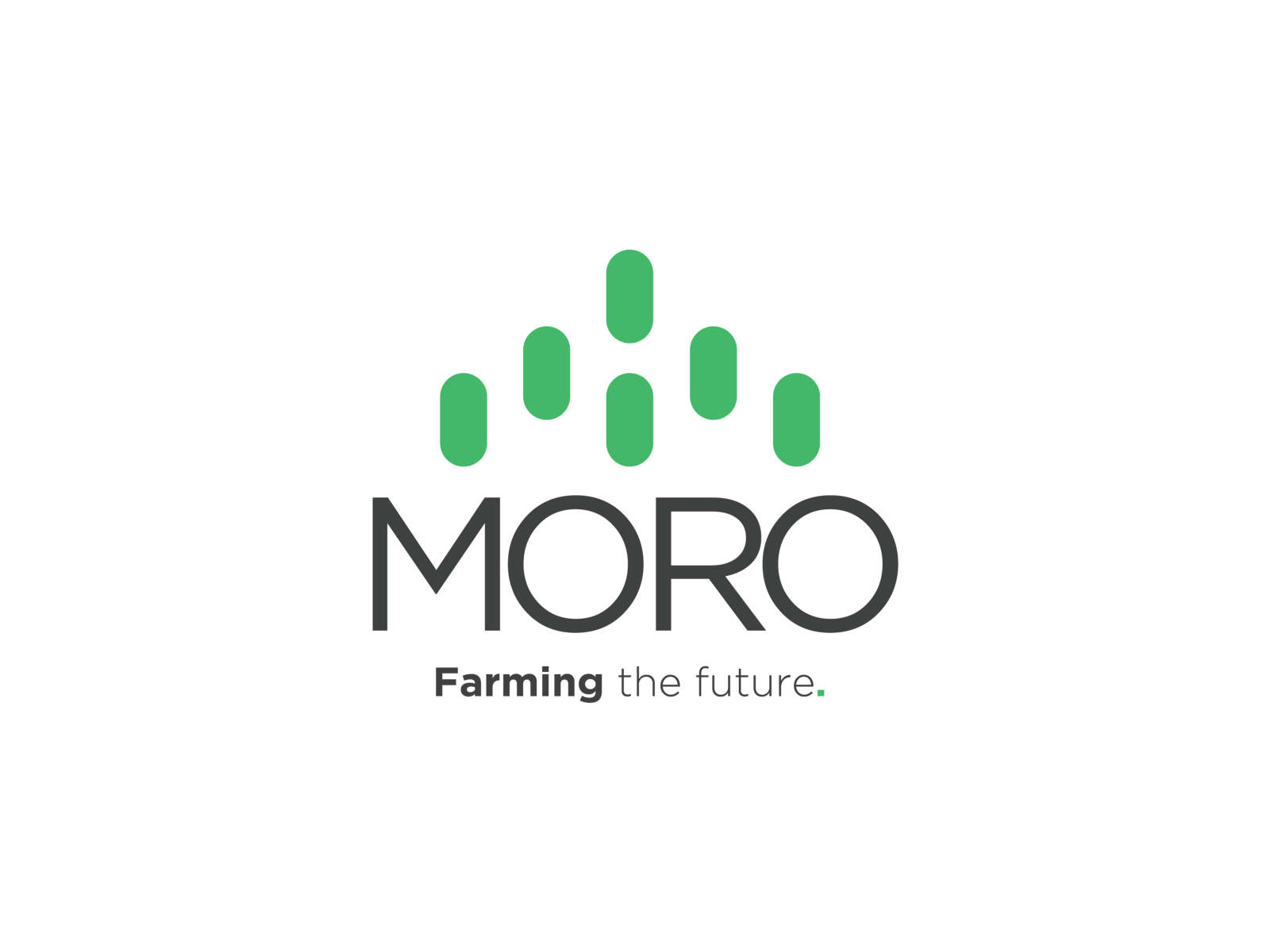 MORO by Michael Mamnytskyi on Dribbble