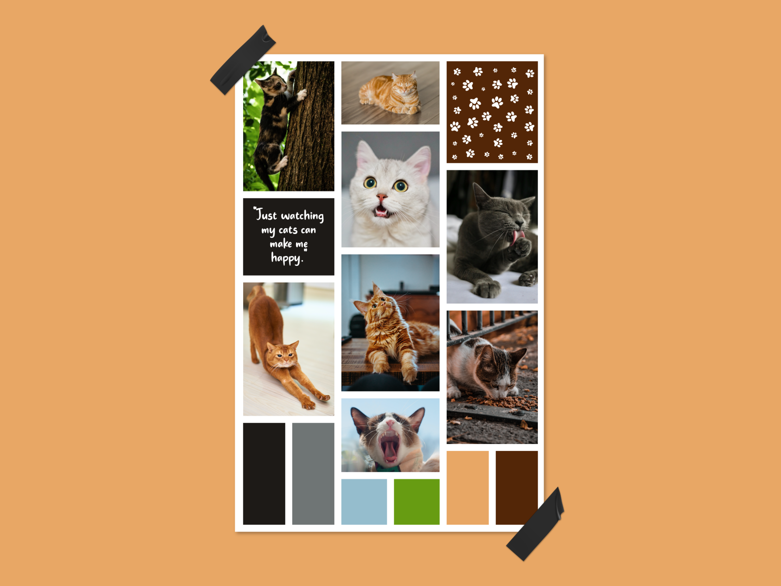 Cat Mood Board | Moodboard Design | Collage | Image Making by Ismail ...