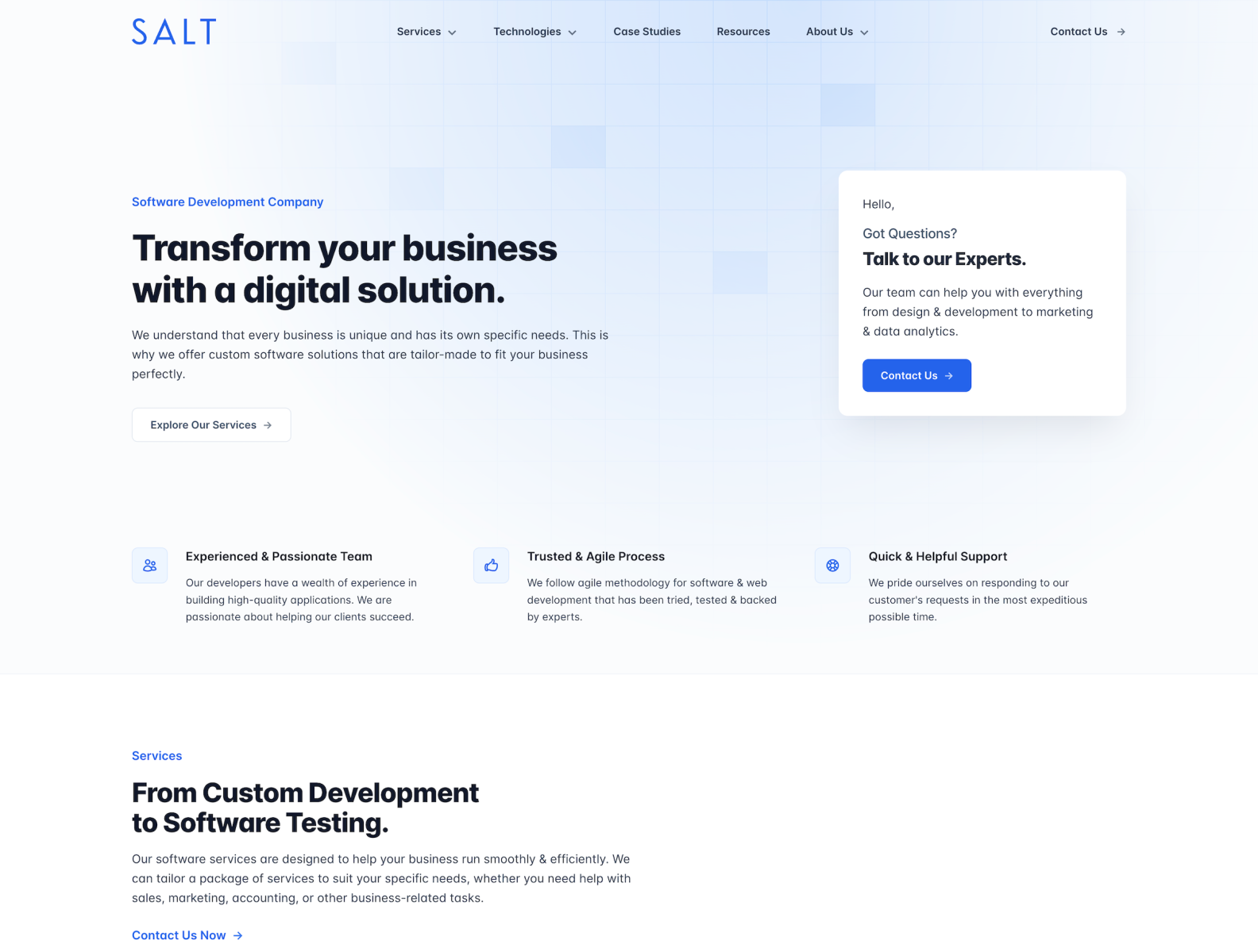 Salt Technologies - Software Development Company - Web Design by Salt Technologies on Dribbble