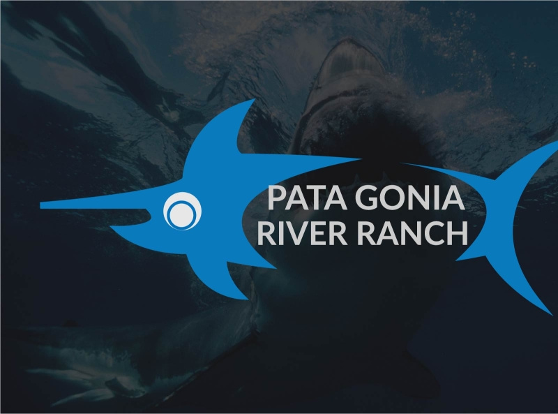 fish1 01 01 by Hasna Hena on Dribbble