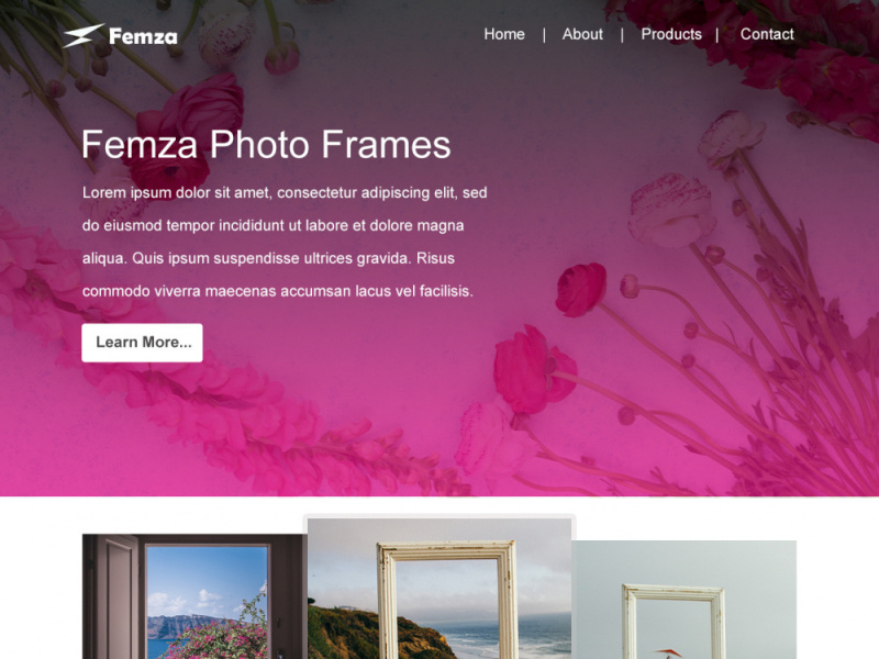 Image Frame Web UI by Awais Ahmad on Dribbble