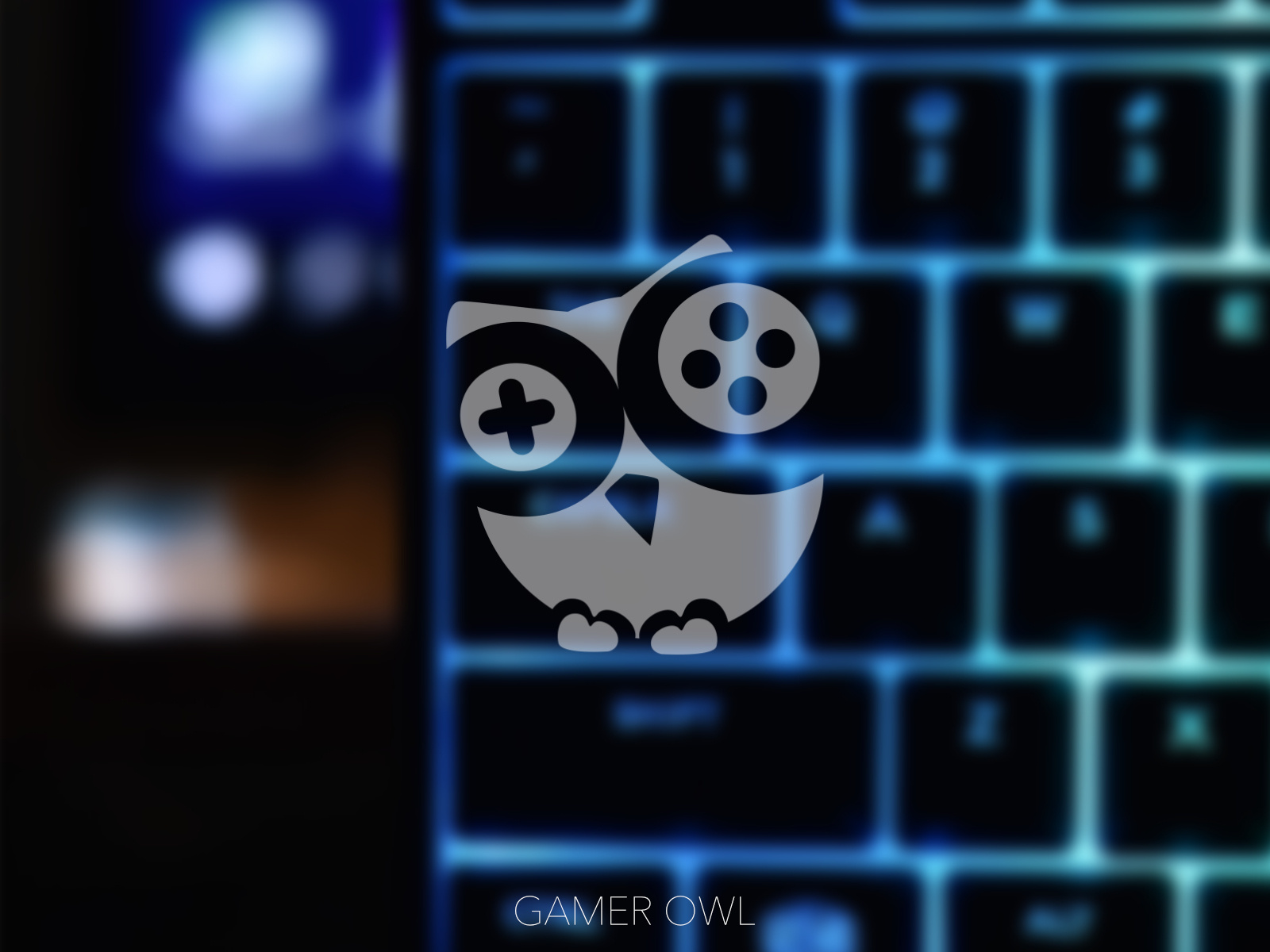 Gamer Owl Logo by Denis on Dribbble
