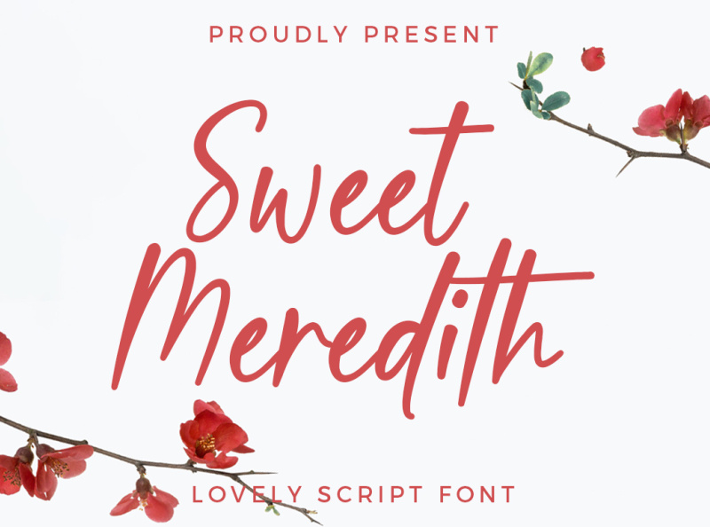Free Sweet Meredith Script Font by Typesthetic Studio on Dribbble