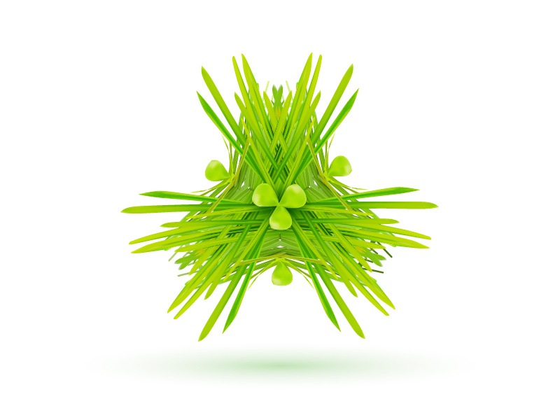 Geometric grass design by Natalia Tkachenko artappler on Dribbble