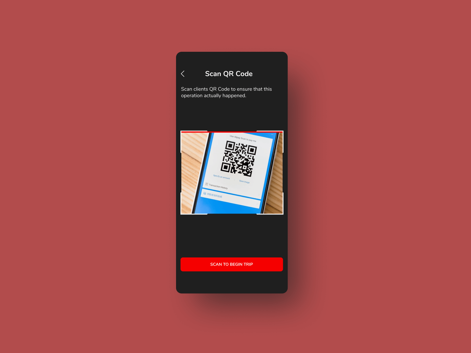Verification Scanner Animation by Ikechukwu Emerenini on Dribbble