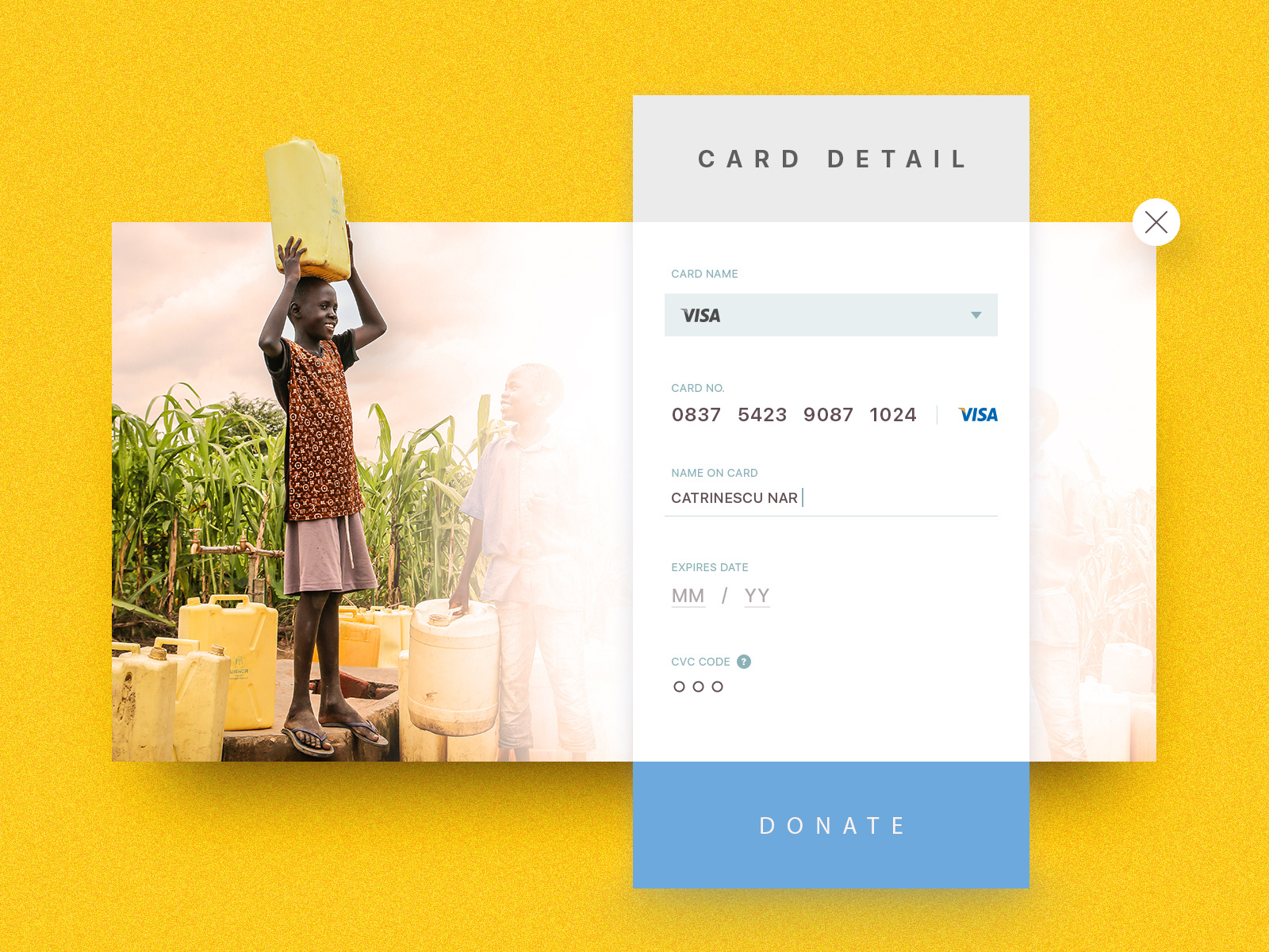 Donate Form by Luiz Baptista on Dribbble