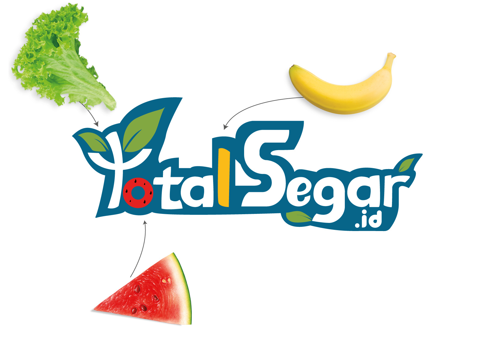 Dribbble - logo-totalsegar.jpg by studio pencil art