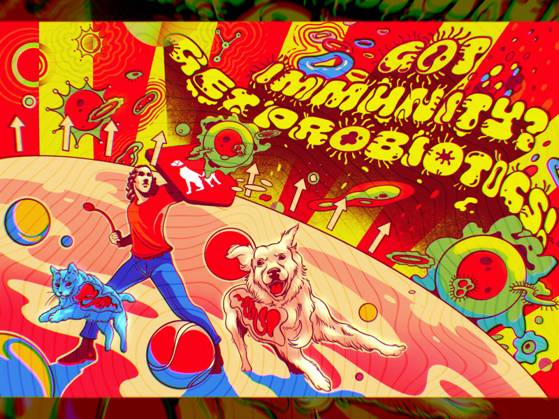 Boss Dog Colab by Andrew Van Gansen on Dribbble