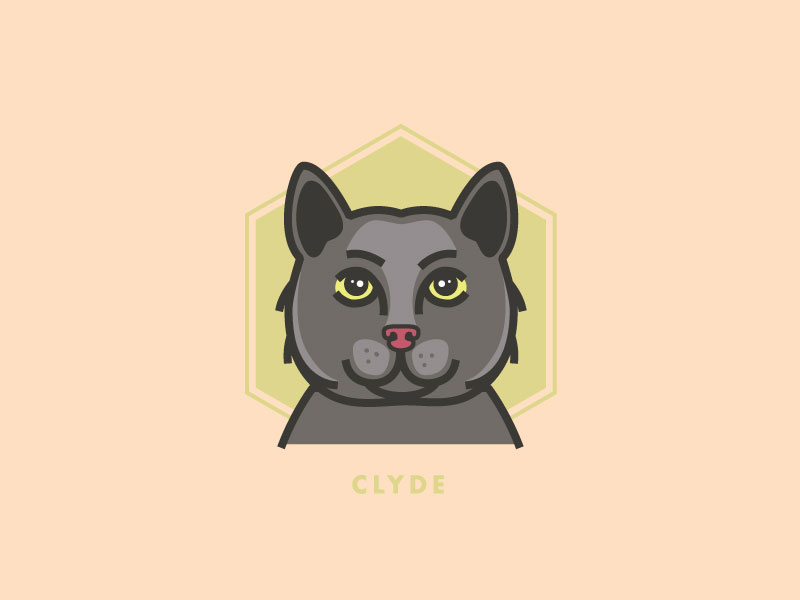Clyde the cat by Tyler Pate for BlueIon on Dribbble