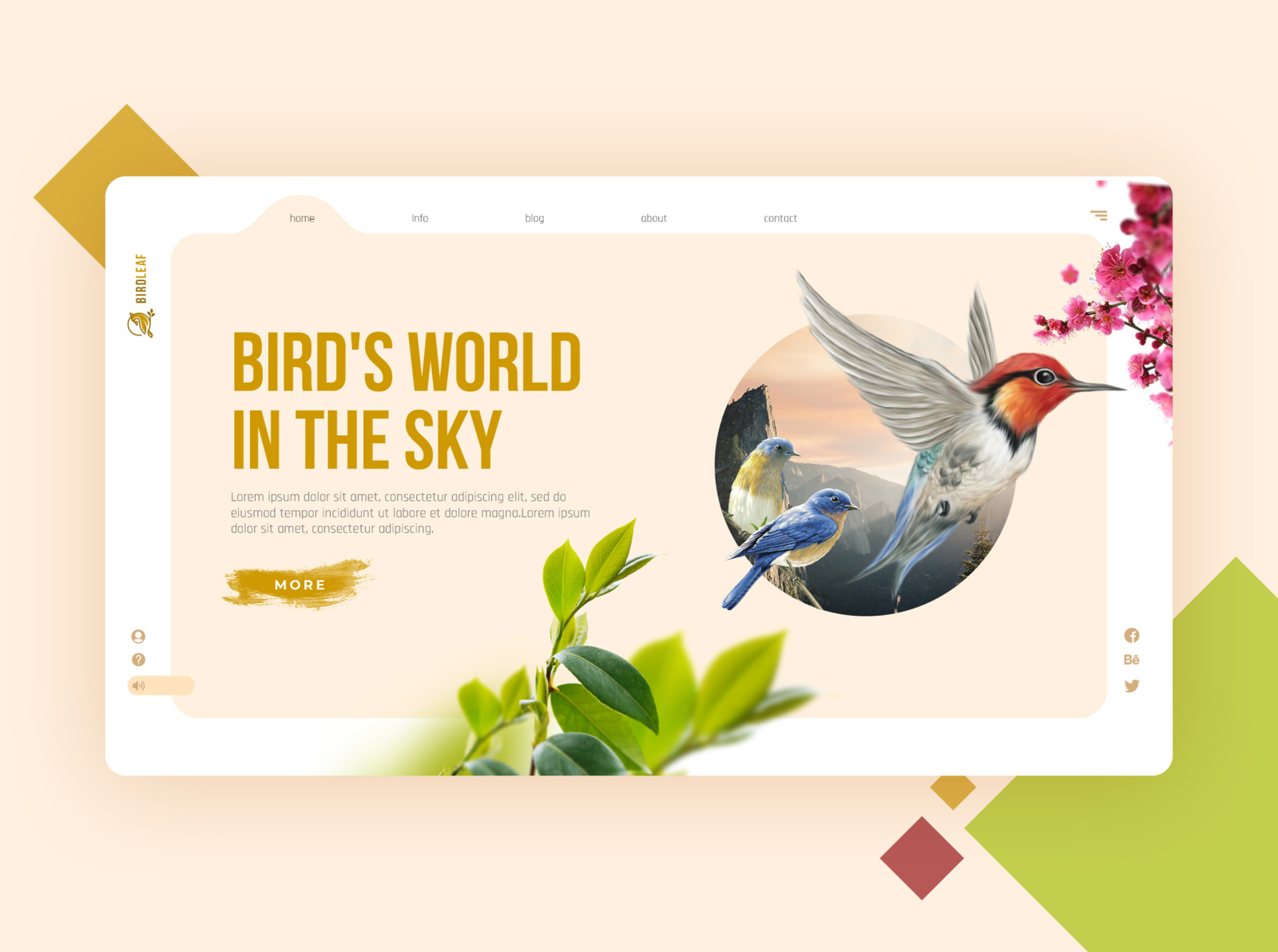 Bird Park | Website Landing page Ui / UX by Muhammad Junaid on Dribbble