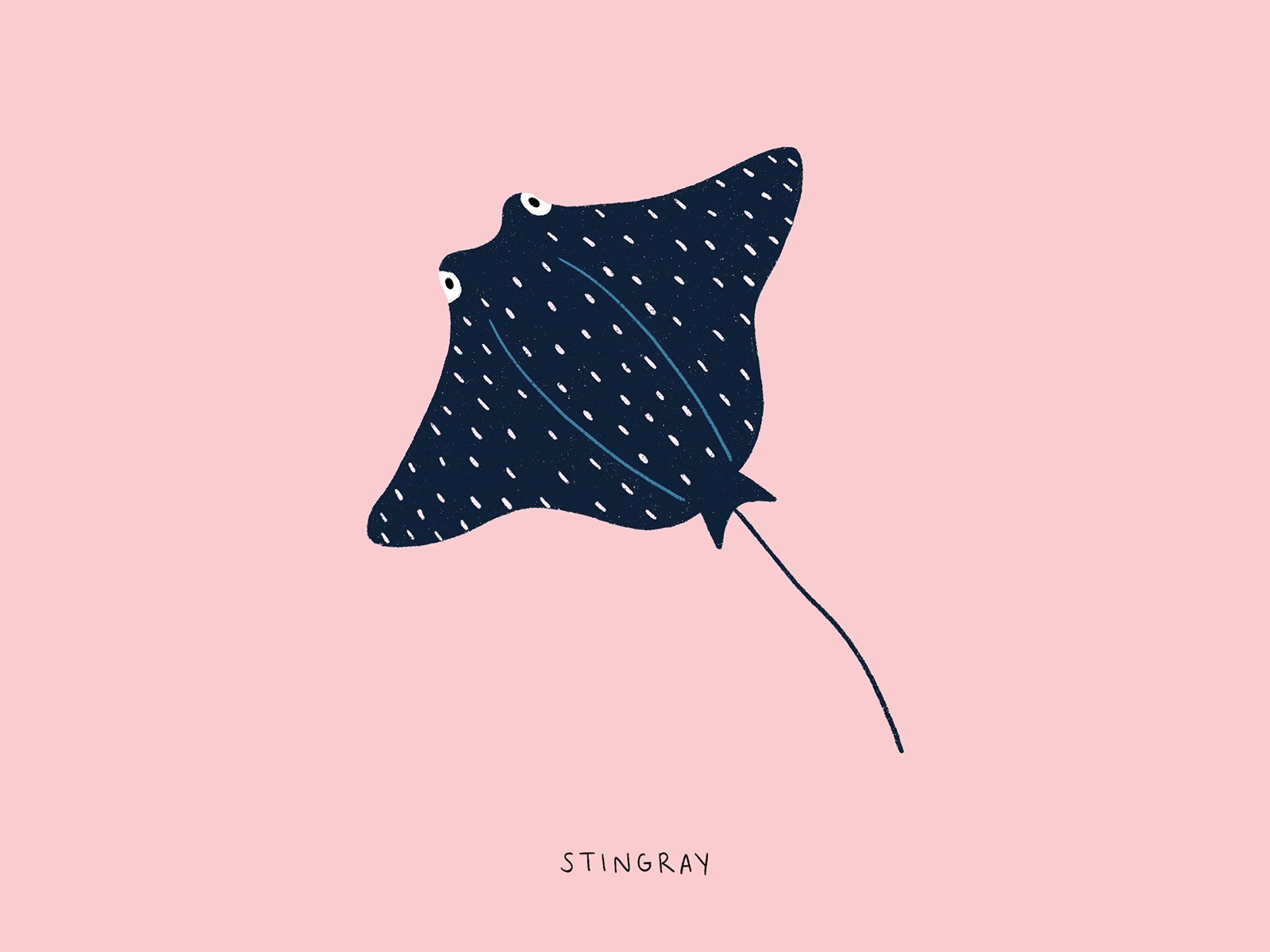 Stingray by Kristina Perdew on Dribbble