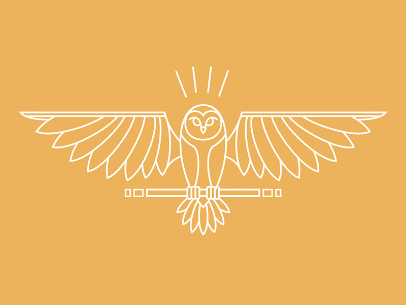 Owl by Jeremy Chapline on Dribbble