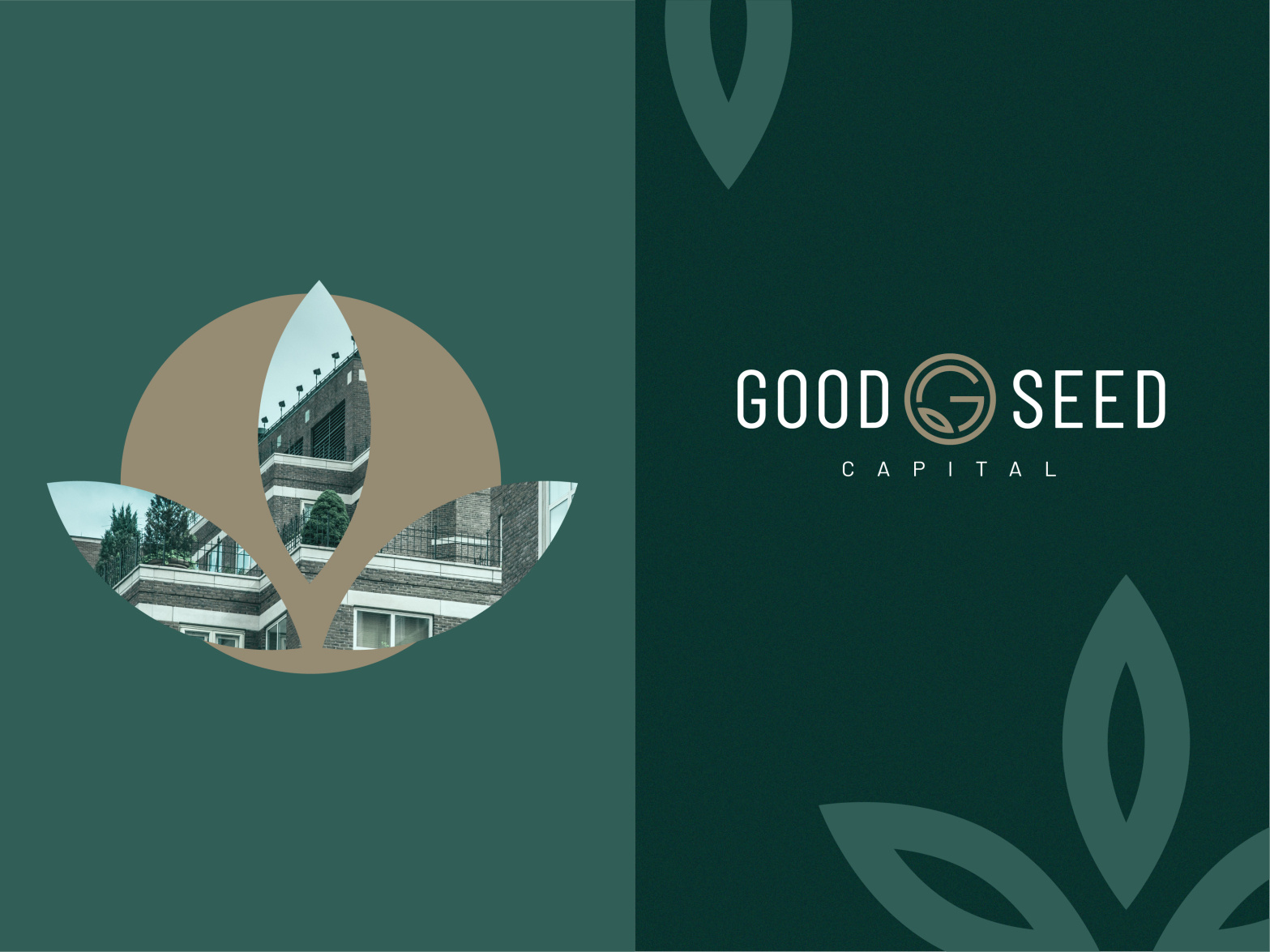 Good Seed Capital: Graphics by Sam Gwozdek on Dribbble