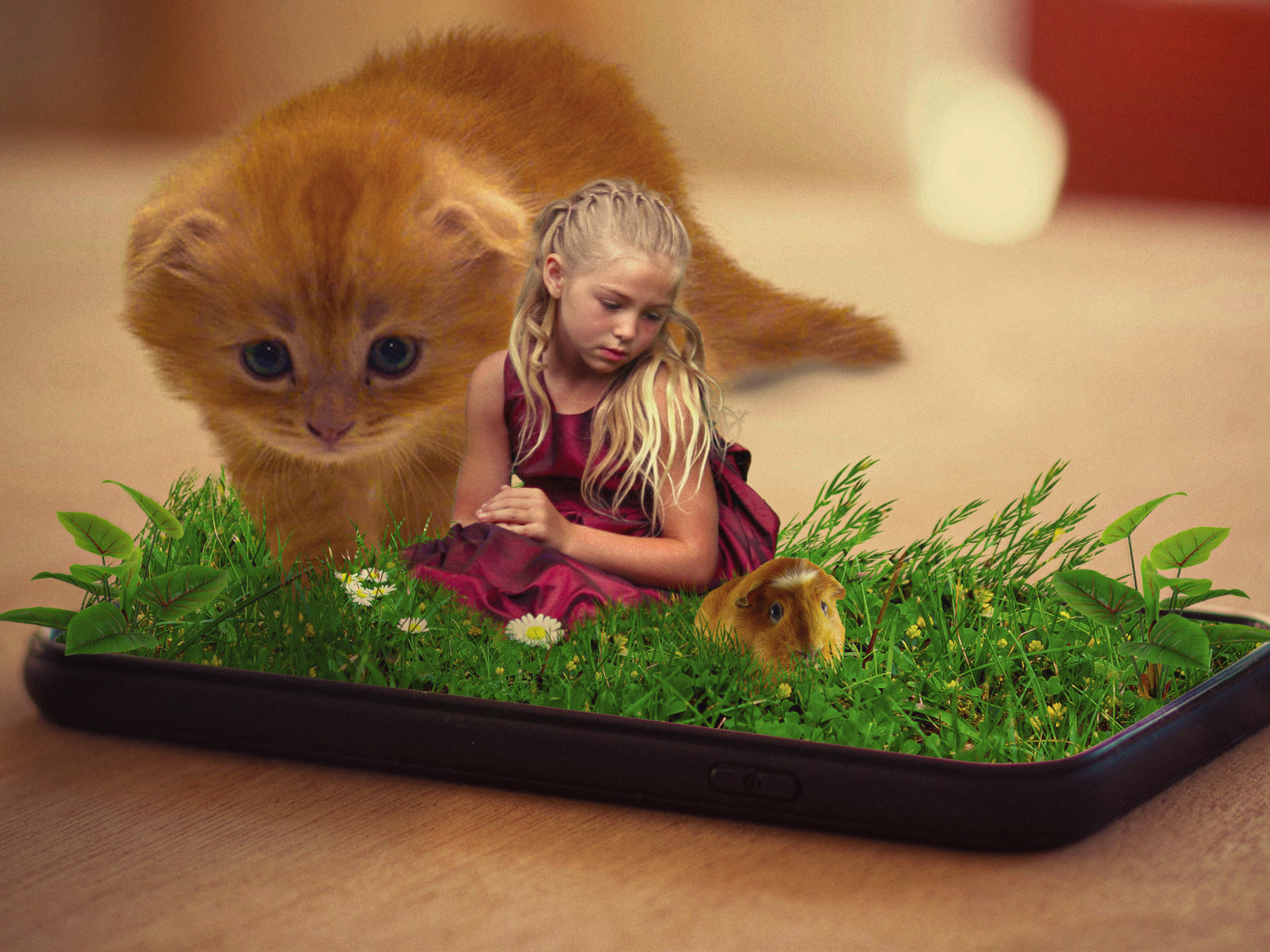 Manipulation by Md Hossain Rumon on Dribbble