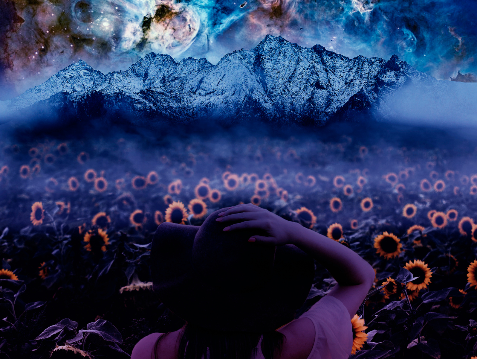 Field by Jimmy Pineda on Dribbble