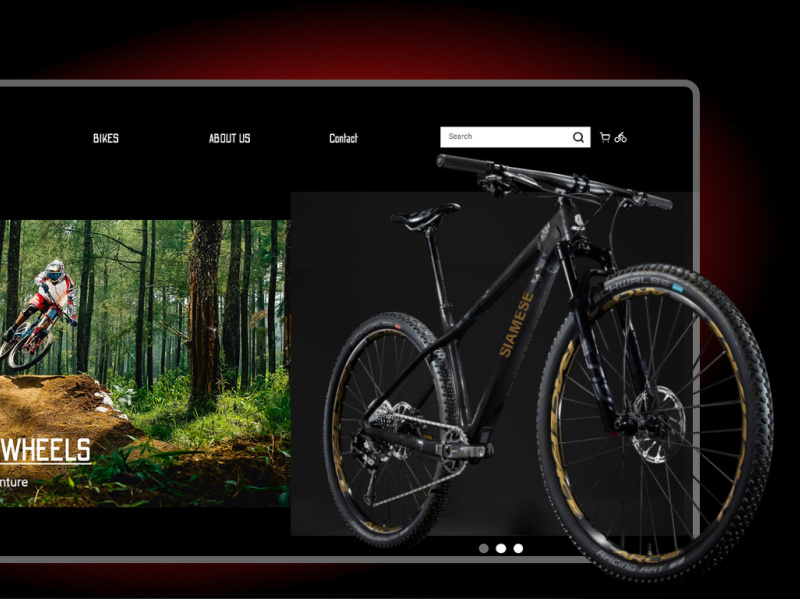 Bike store concept UI/UX Design by Galina on Dribbble