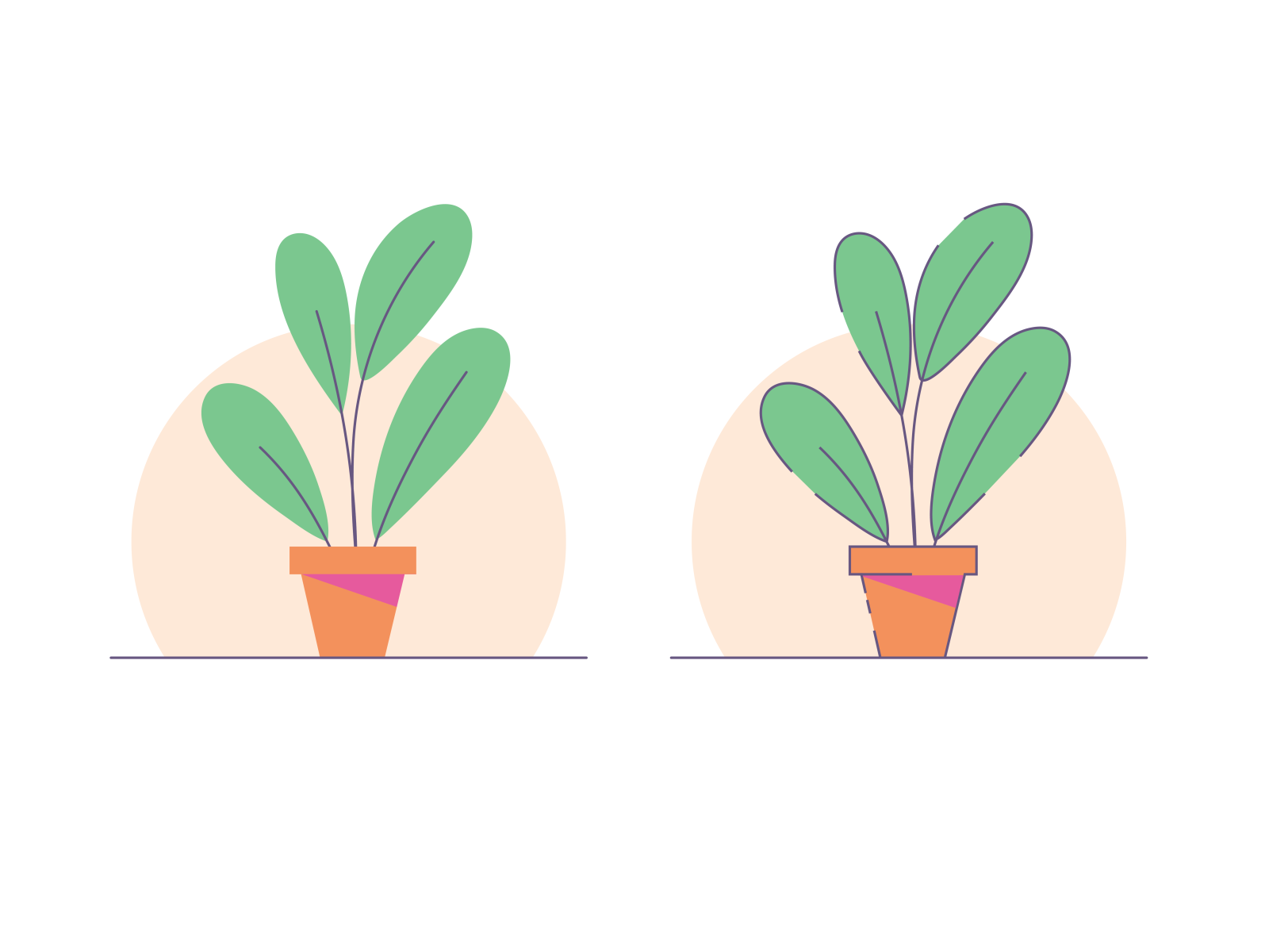 Plant Design by Didi Xie on Dribbble