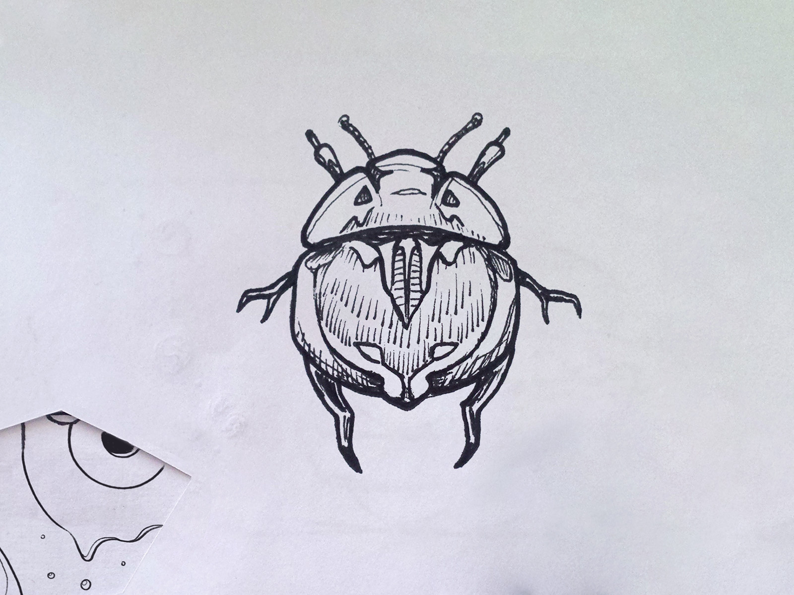 Insect character sketch by Dariusz Sieczka on Dribbble