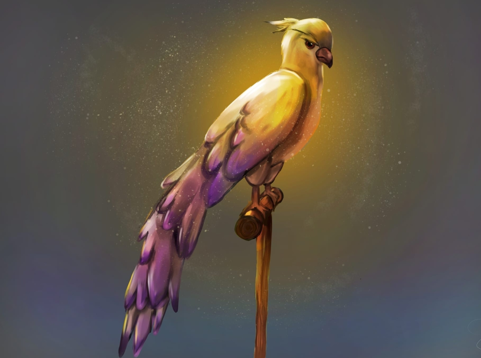 fenix by Elonna on Dribbble