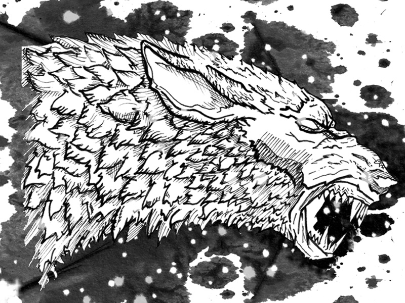 Waheela by Carlos Menchaca on Dribbble