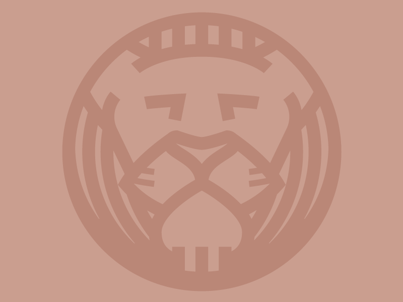 Lion by Jeremy Clardy on Dribbble